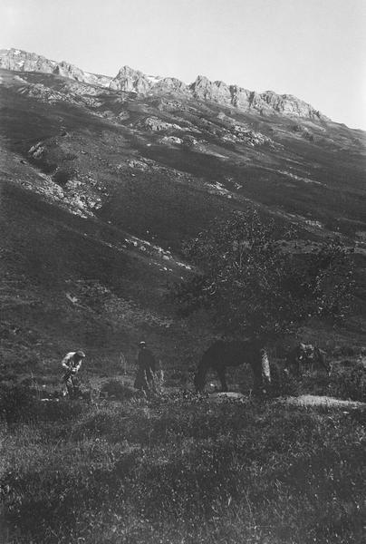 Collection object "Neg 1083/44(243)" • Unidentified landscape, with ...