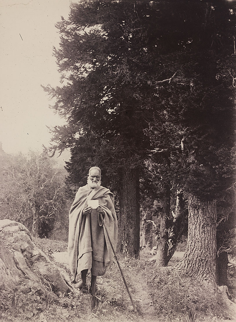 References – British Library Stein Photos Part III: 392/28 (Falconer ...