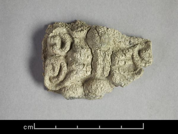 Collection object "MAS.360" • Floral ornament made of stucco. The ...