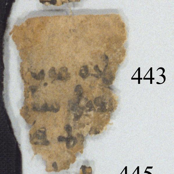 Collection object "n 443" • Manuscript from German Central Asia ...