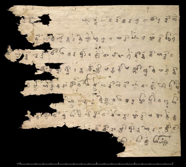 Collection object "Or.11344/9" • Khotanese manuscript mentioning wine ...