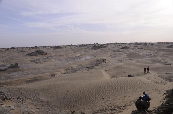 Collection object "Photo 1235/2(67)" • Niya, panorama of stupa and ...