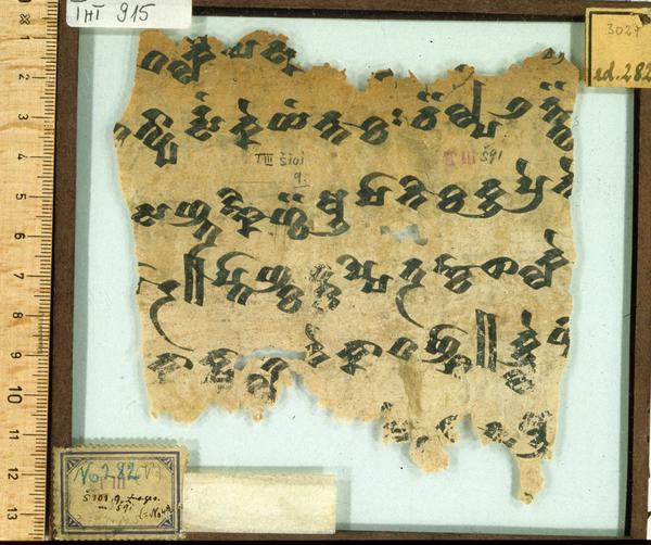 Collection object "THT 915" • Manuscript from German Central Asia ...