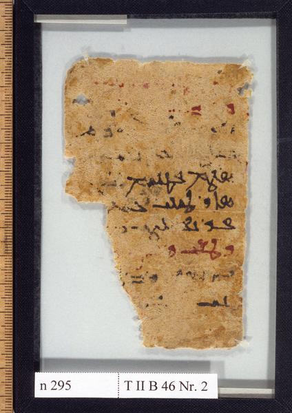 Collection object "n 295" • Manuscript from German Central Asia ...