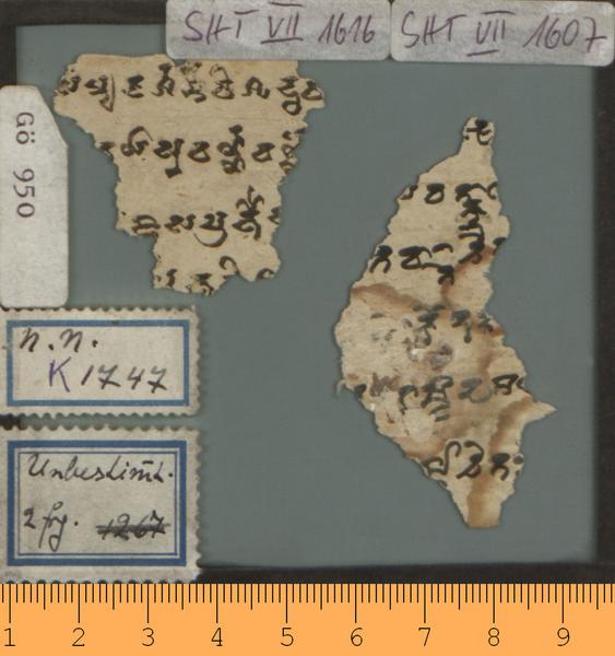 Collection object "SHT 1607" • Manuscript from German Central Asia ...