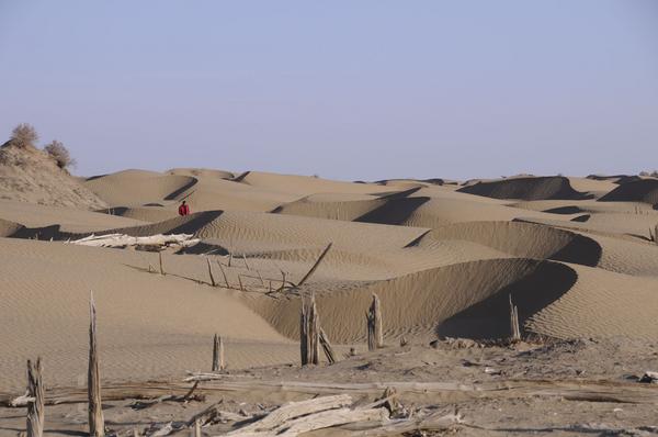 Collection object "Photo 1235/2(233)" • Niya, N.II., panorama shot 5 ...