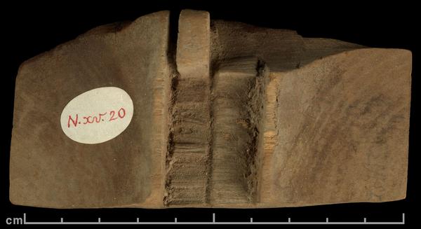 Collection object "Or.8211/1503" • Fragment of a Rectangular Covering ...