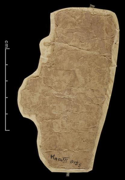 Collection object "IOL Khot 208/8" • Blank manuscript fragment ...