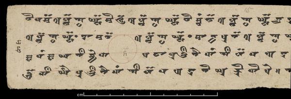 Collection object "IOL Khot 63/3" • Pothi manuscript of ...