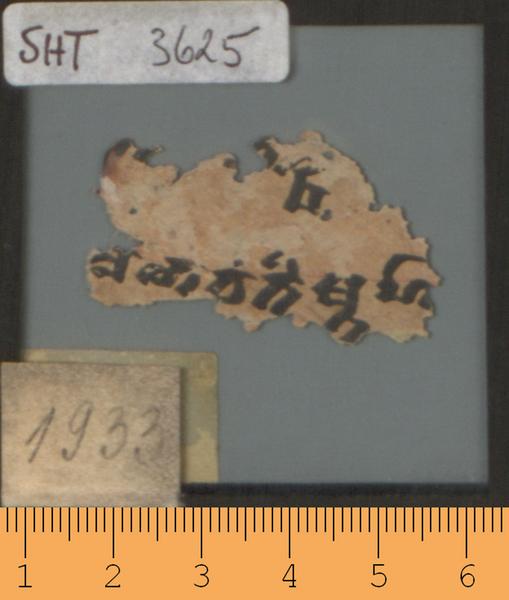 Collection object "SHT 3625" • Manuscript from German Central Asia expeditions. – International ...