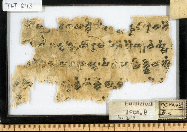 Collection object "THT 243" • Manuscript from German Central Asia ...