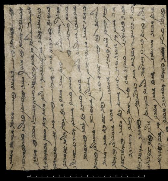 Collection object "Or.8212/89" • Letter in Sogdian from the ruler Tamar ...